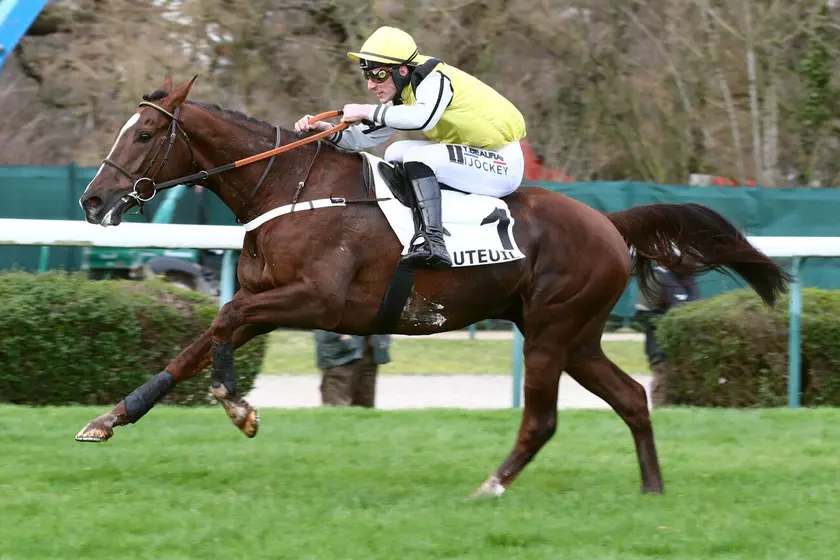 Dimanche à Auteuil - Alain Couétil : "Avec Zéphyr de Beaumont, le Prix ...