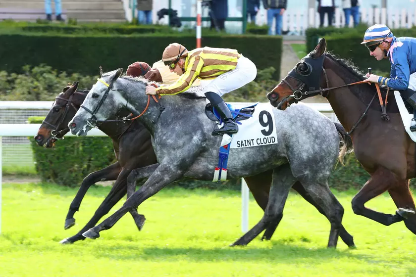 Quinté Cuncerto L Outsider Séduisant Du Quinté De Ce Jeudi 3