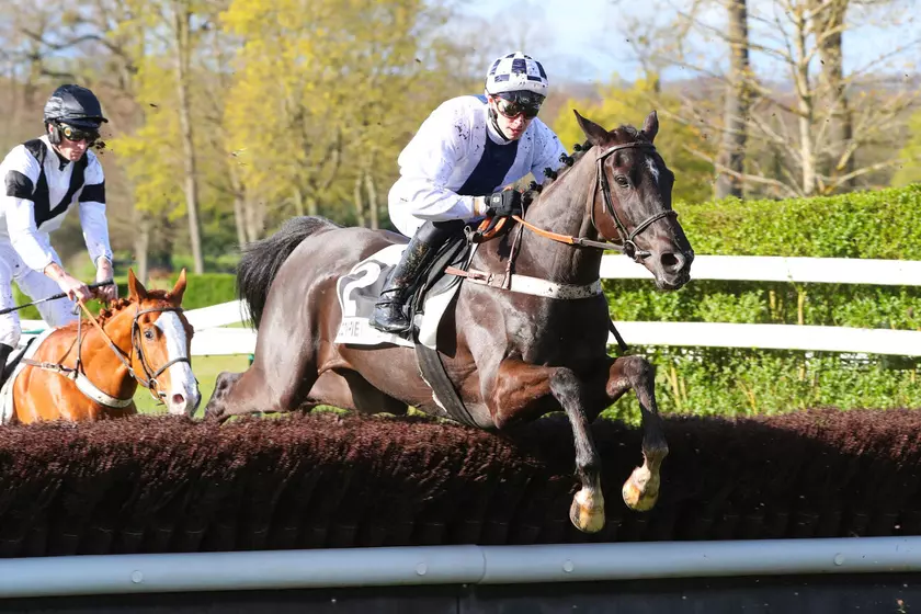 Quinté+: Khal Tyron, l'outsider séduisant du Quinté du lundi 16 ...