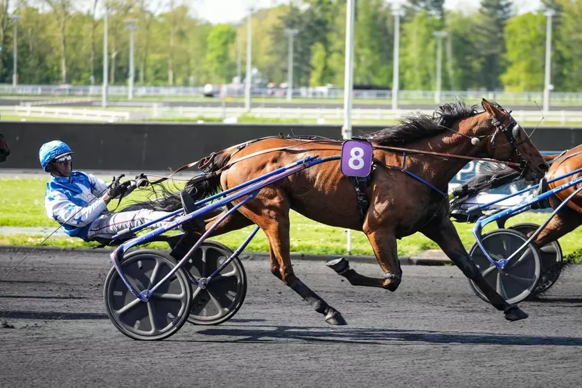 Quinté+: Quinté+ du mercredi 24 septembre, 10e étape du GNT : vers un ...