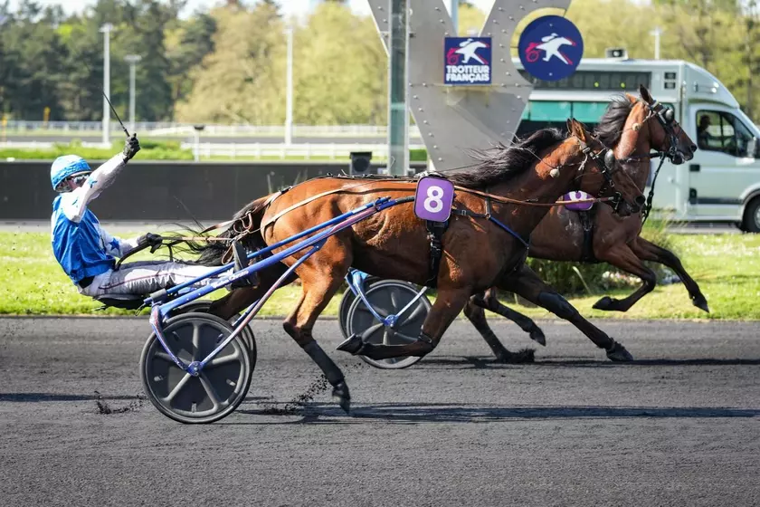 Prix Robert Auvray (Gr.2) - Jack Tonic sur le fil | Equidia