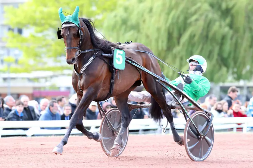 Benoit Robin : "Hussard du Landret monte en puissance" | Equidia