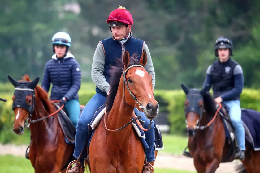 Grand Steeple-Chase de Paris - David Cottin : "Juntos Ganamos est un ...