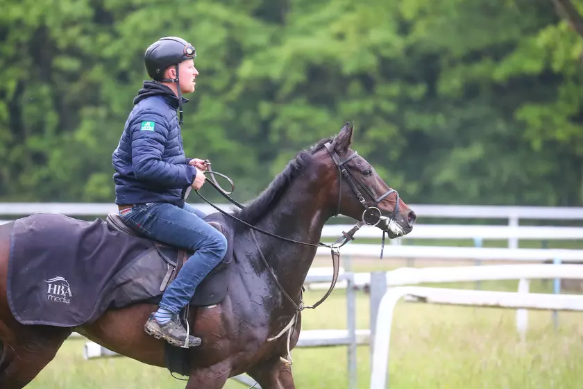 Quinté+: À l'entraînement avec Noel George et ses partants du Grand ...