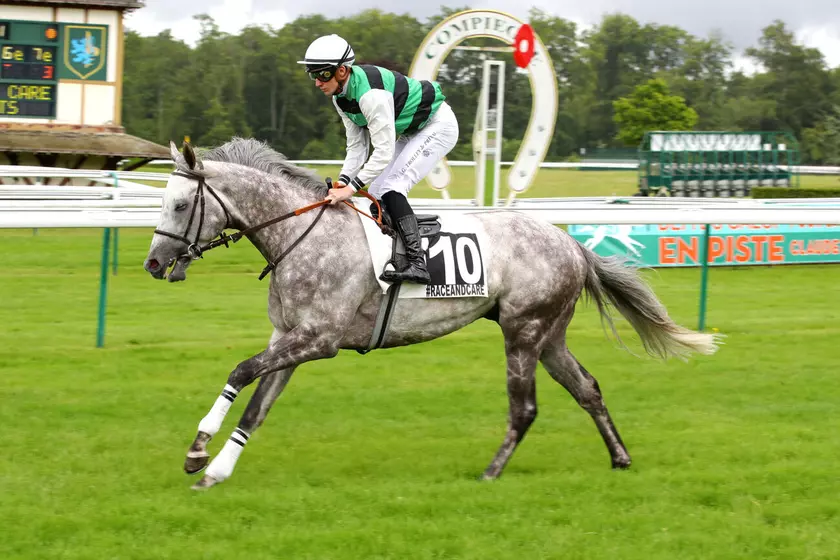 Quinté Quinté Du Mardi 1er Avril à Fontainebleau Shelby A Des