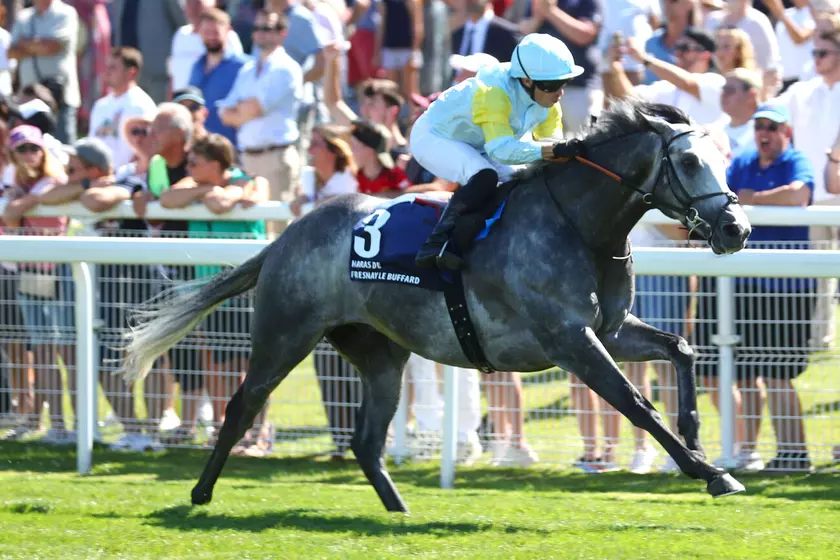Mathieu Le Forestier : "Charyn est un logique favori" | Equidia