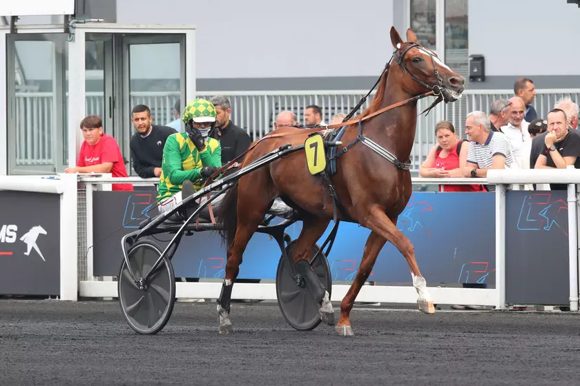 Quinté+: Joumba de Guez, l'outsider séduisant du Quinté+ de ce samedi ...