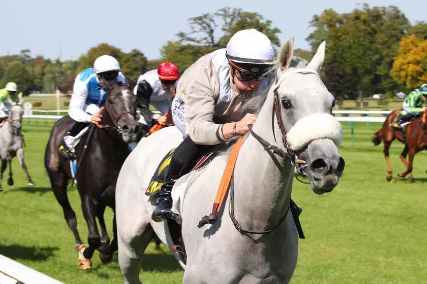 Quinté+: Arrivée et rapports du Quinté+ du mardi 17 septembre à ...