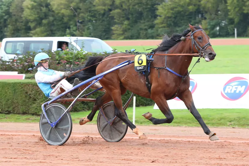 Quinté Héro Sibey Pourrait Marquer De Son Empreinte Le Quinté Du