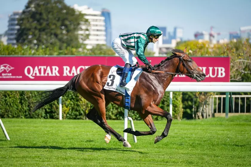 Vendredi à Chantilly - Qui peut battre Maranoa Charlie dans le Prix ...
