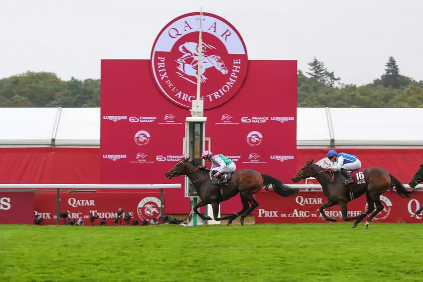 Quinté+: Qatar Prix de l'Arc de Triomphe : Bluestocking survole ...