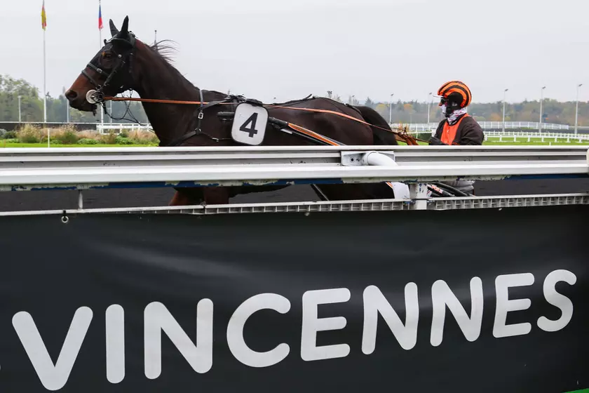 Quinté Le Quinté Du Samedi 30 Novembre Vu Par Les Statistiques Equidia