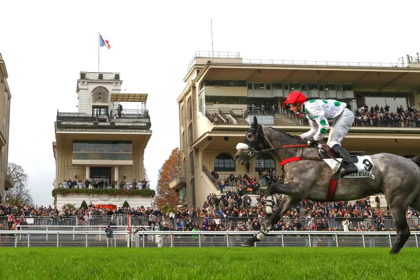 Les 4 infos incontournables d'Auteuil du samedi 8 mars | Equidia