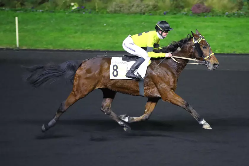 Mercredi à Vincennes - Prix Auguste François : Filwell en patron | Equidia
