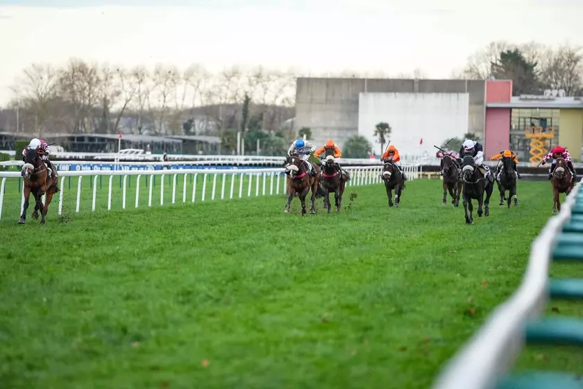 Quinté+: Quinté+ du mercredi 8 janvier à Pau : Analyse et décryptage de ...