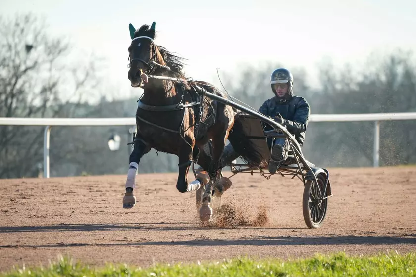 Quinté+: Dimanche à Vincennes - Hussard du Landret défend son titre ...