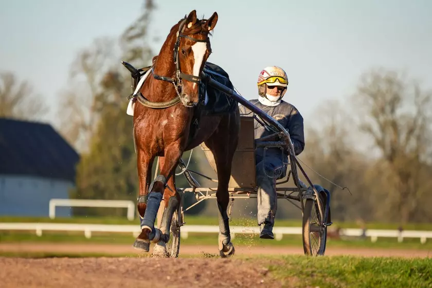 Dimanche à Vincennes - Nicolas Bazire : "Joumba de Guez ne va pas être ...