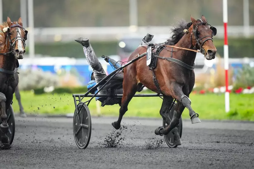 Quinté+: Prix d'Amérique Legend Race : Idao de Tillard, vraiment dans ...