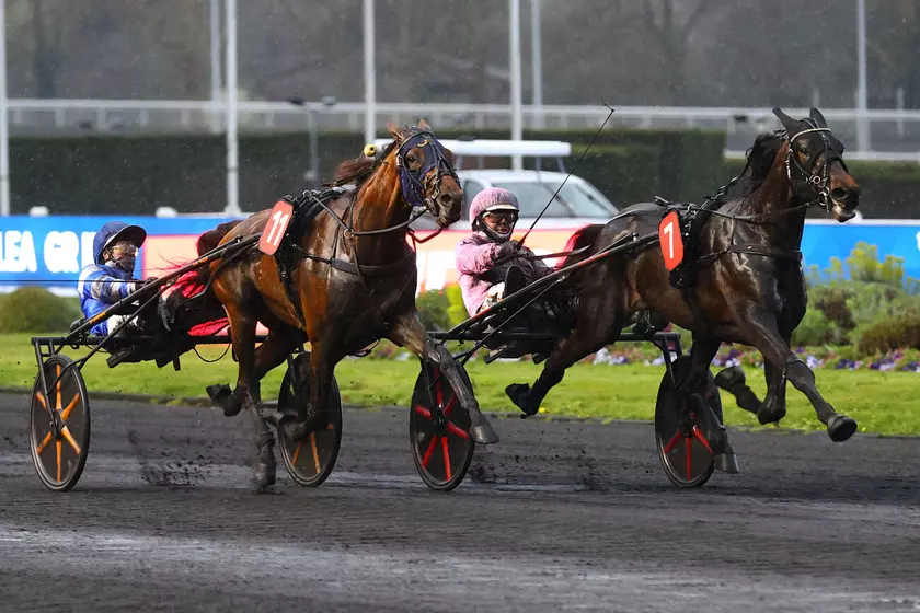 Samedi à Enghien - Prix de Rome : Analyse et conseil de jeu | Equidia