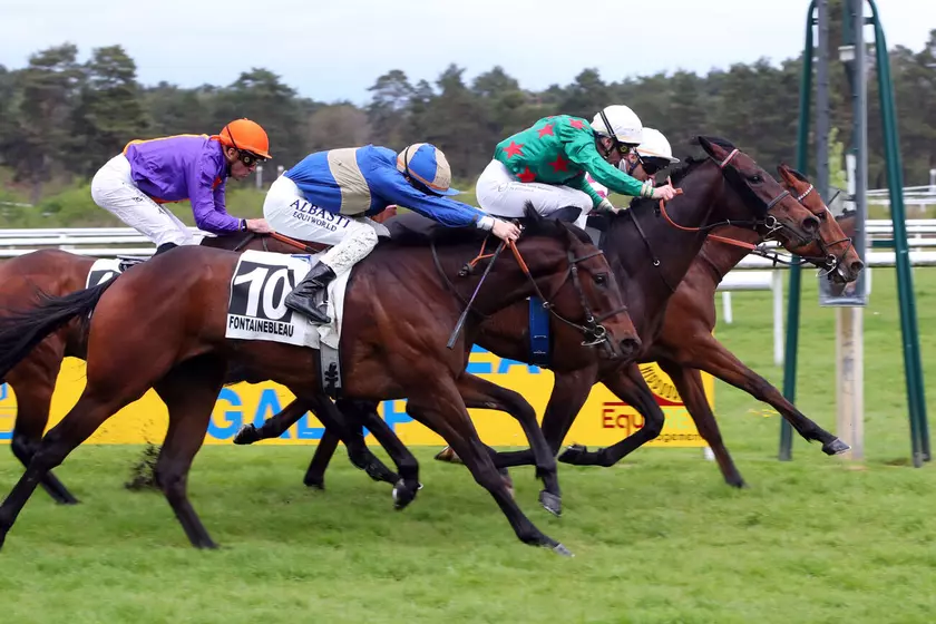 Quinté Arrivée Et Rapports Du Quinté Du Lundi 21 Avril à