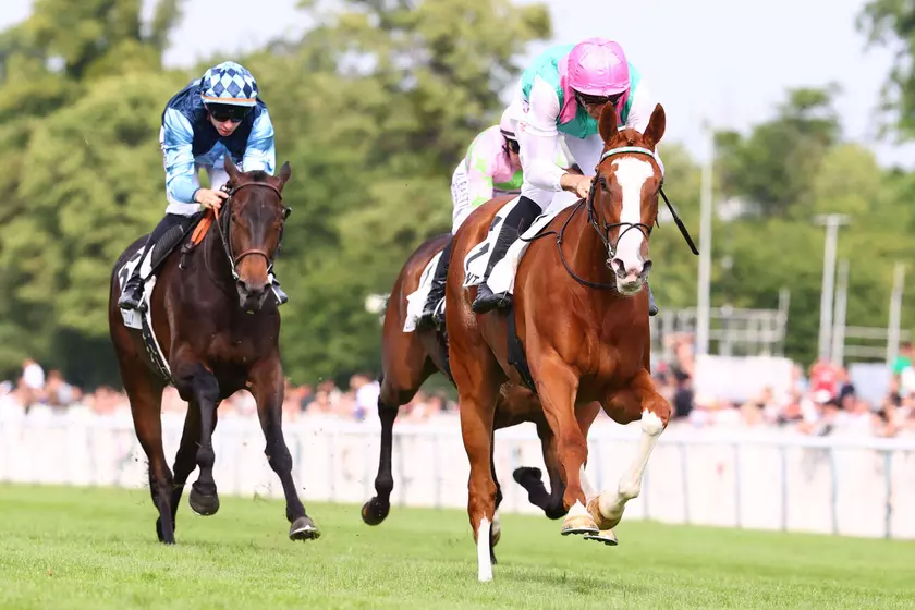 Profilo falso streaming altadefinizione cute plus slender