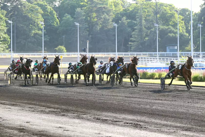 Quinté Quinté Du Samedi 19 Juillet à Enghien Analyse Et Décryptage
