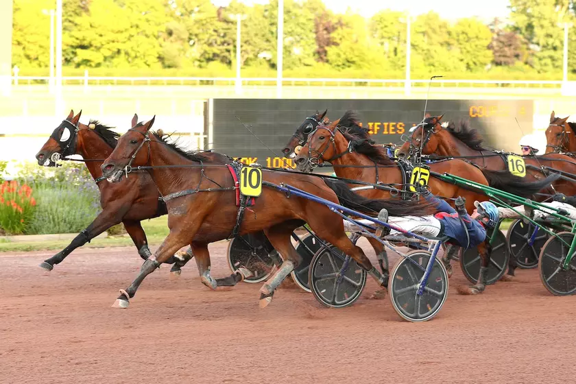 Adria.xr she is quite pretty and has a thin but voluptuous