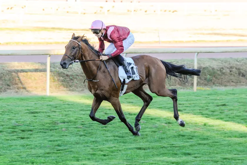 Sophia malonzo leaks she maintains an upscale incall