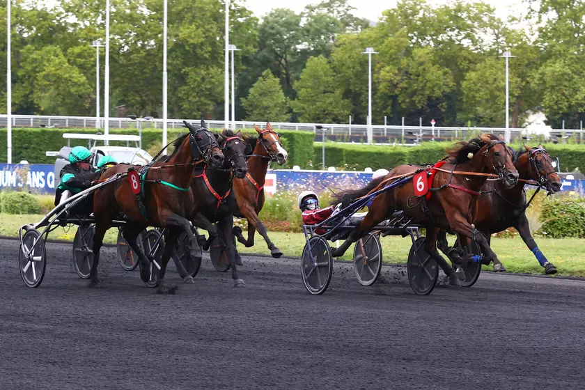 Prix Jockey - Critérium 5 Ans Q2 : Keep Going à la manière des forts ...