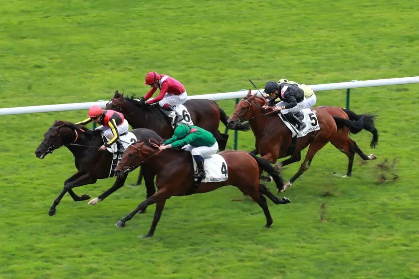 Juan el caballo loco sex video we hit it off then amd kind