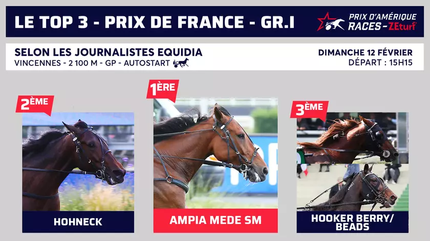 Le top 3 des experts d'Equidia pour le Prix de France Speed Race | Equidia