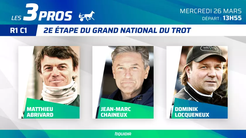 Quinté+: 3 pros analysent leurs chances dans le Quinté+ de ce mercredi ...