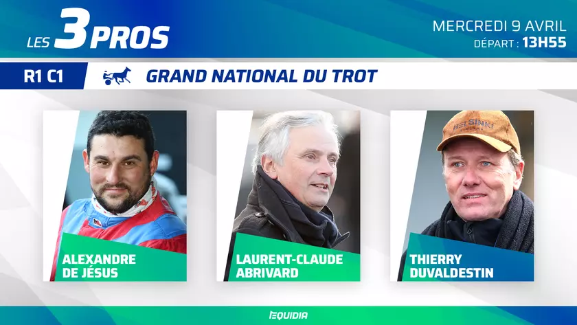 Quinté+: 3 pros analysent leurs chances dans le Quinté+ de ce mercredi ...