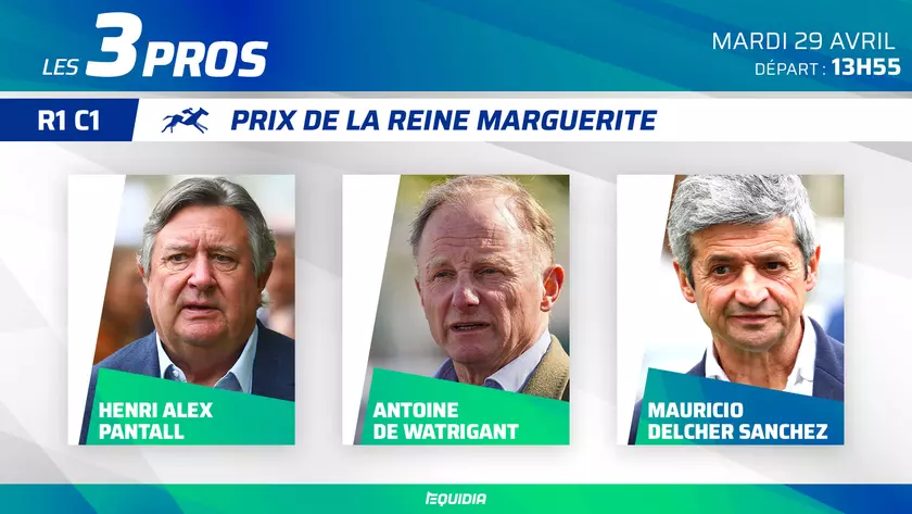 Quinté+: 3 pros analysent leurs chances dans le Quinté+ de ce mardi 29 ...