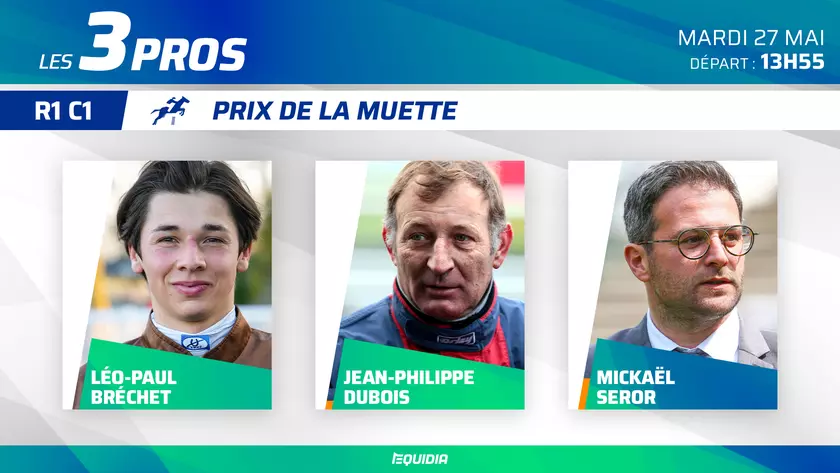 Quinté+: 3 pros analysent leurs chances dans le Quinté+ de ce mardi 27 ...