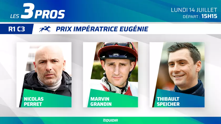 Quinté+: 3 pros analysent leurs chances dans le Quinté+ du lundi 14 ...