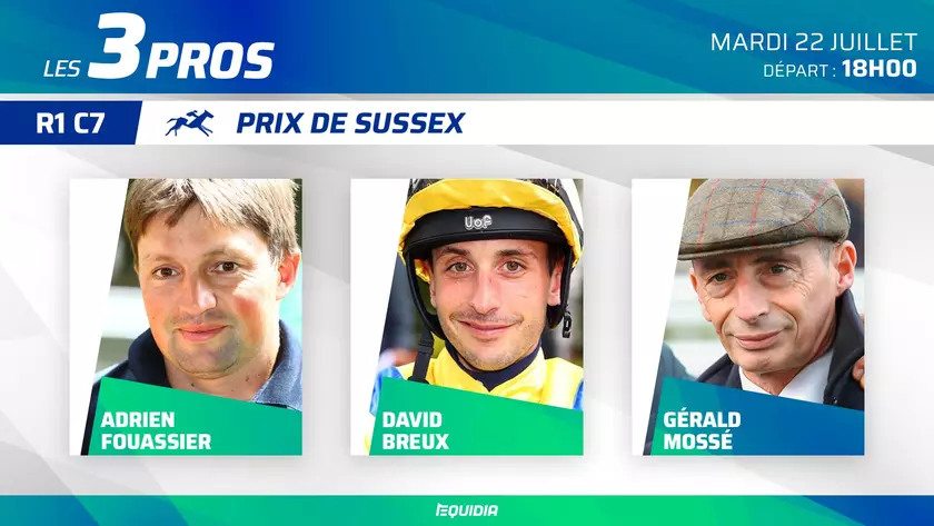 Quinté+: 3 pros analysent leurs chances dans le Quinté+ du mardi 22 ...