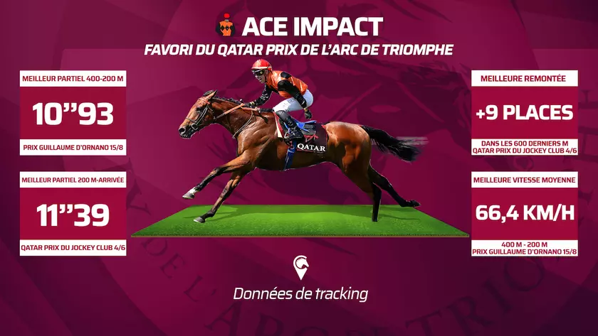 QPAT : les courses d’Ace Impact décryptées par le Tracking | Equidia