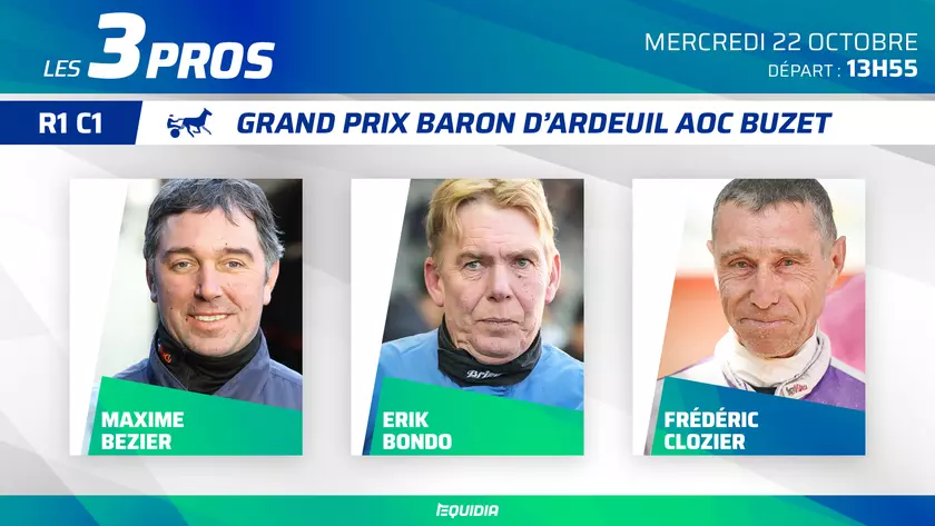 Quinté+: 3 pros analysent leurs chances dans le Quinté + de ce mercredi ...