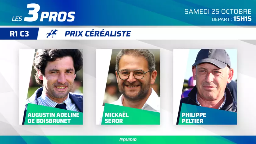 Quinté+: 3 pros analysent leurs chances dans le Quinté + de ce samedi ...