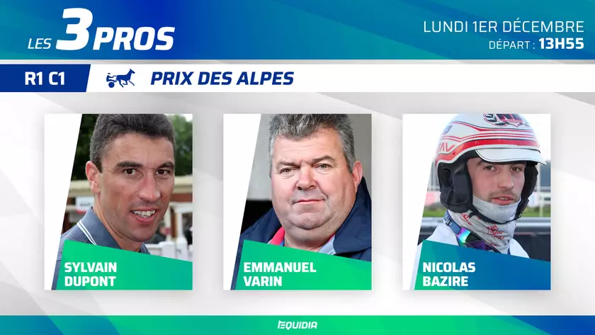 Quinté+: 3 pros analysent leurs chances dans le Quinté+ de ce lundi 1er ...