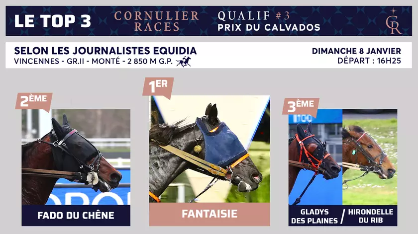 Le top 3 des journalistes d'Equidia pour le Cornulier Races Q3 - Prix ...