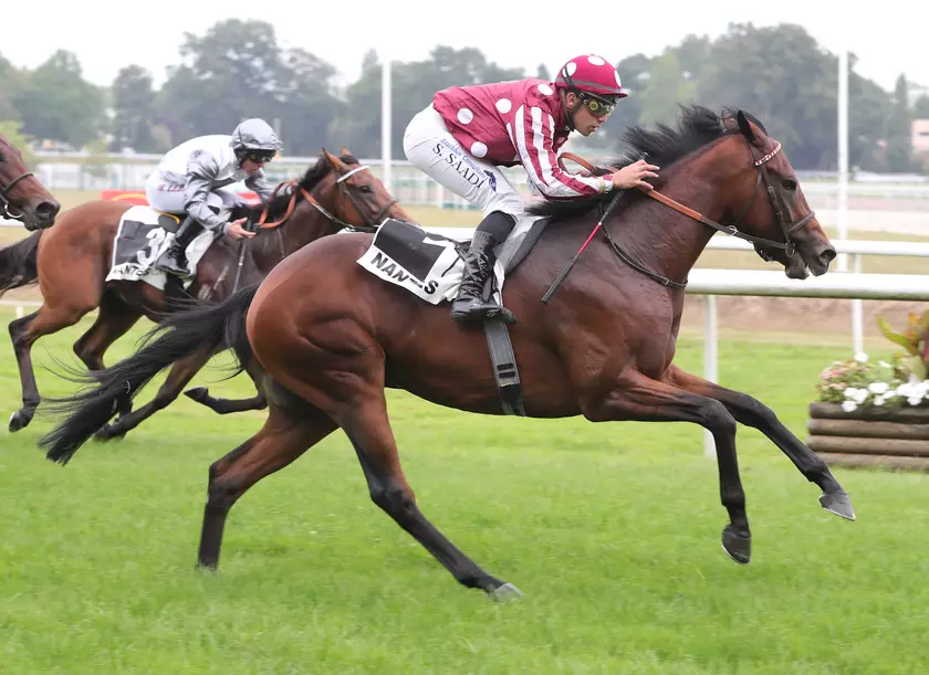 Mardi 21 septembre à Nantes, Soufiane Saadi à 300 | Equidia