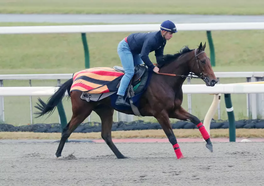 Dimanche à Tokyo - Japan Cup : Découvrez les images du dernier travail ...