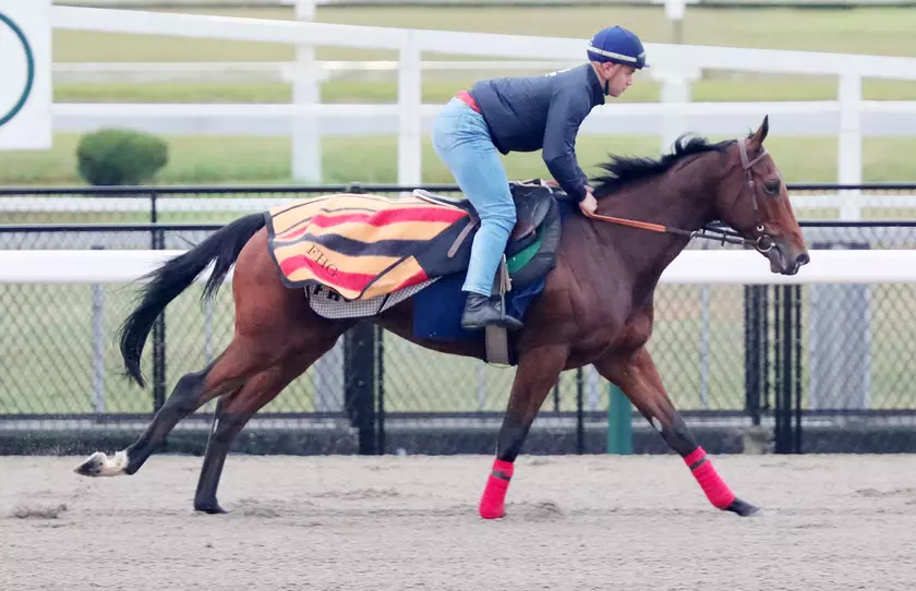 Favori/outsider : Qui jouer dans la Japan Cup ? | Equidia