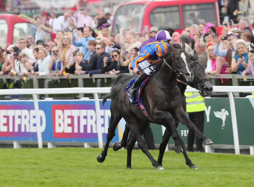 Cotes des Irish Champion Stakes samedi à Leopardstown : qu’en pensent ...
