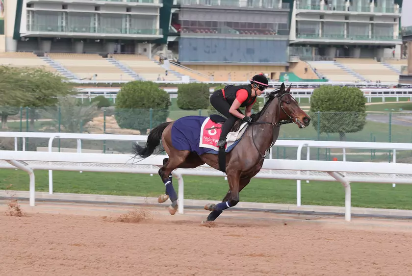 Qui seront les chevaux français présents dans la réunion de la Saudi ...