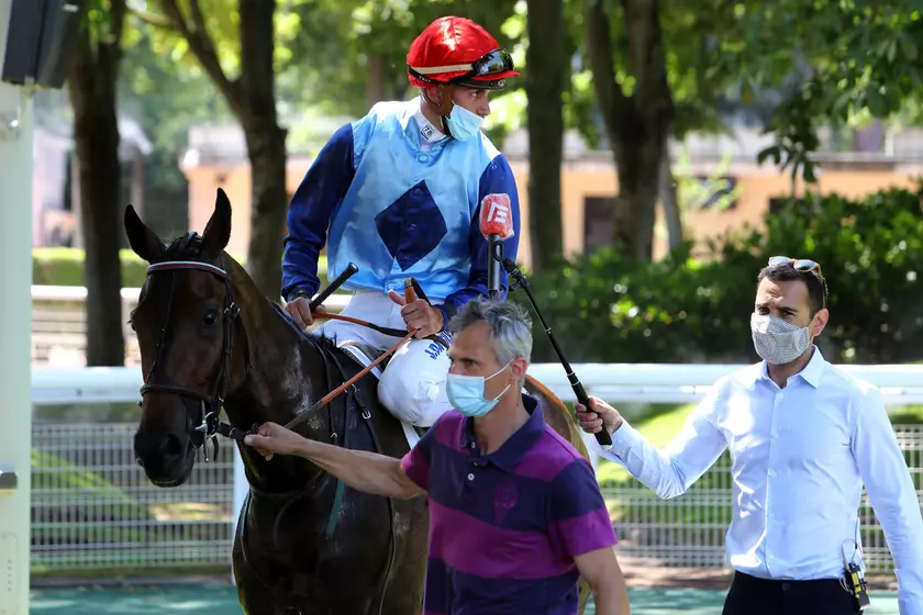 Le retour aux affaires de Jérémy da Silva | Equidia