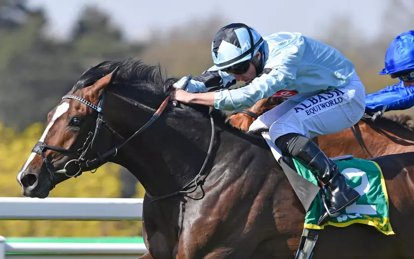 Quinté+: Les chevaux de l'Arc : Alenquer, le possible trouble-fête ...