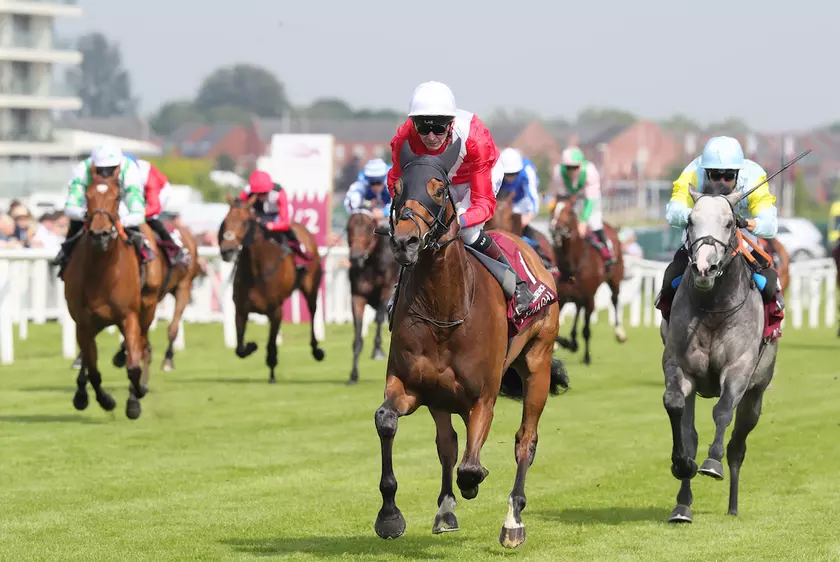 Lockinge Stakes à Newbury : Audience à son prime, Big Rock déchante ...